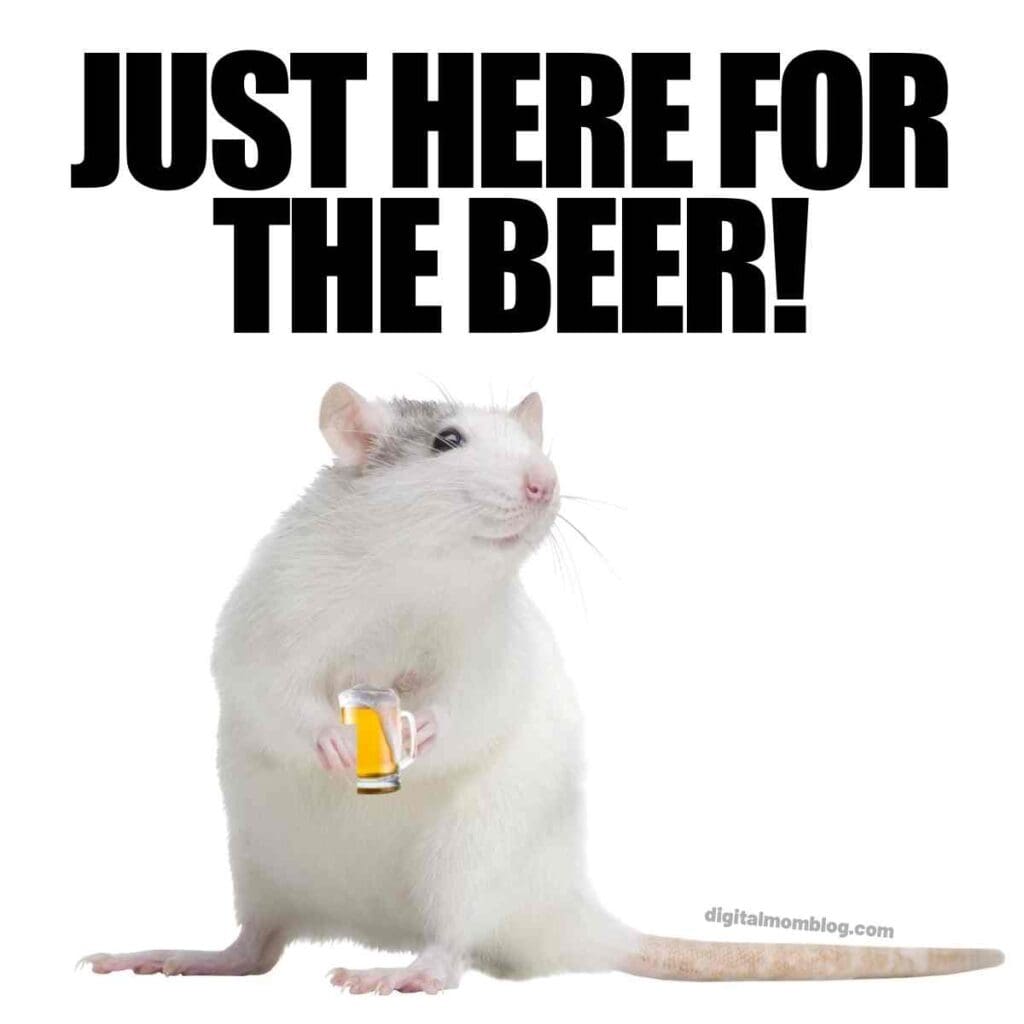 How To Get Rid Of Rats And Mice - 15 Easy Rodent Solutions