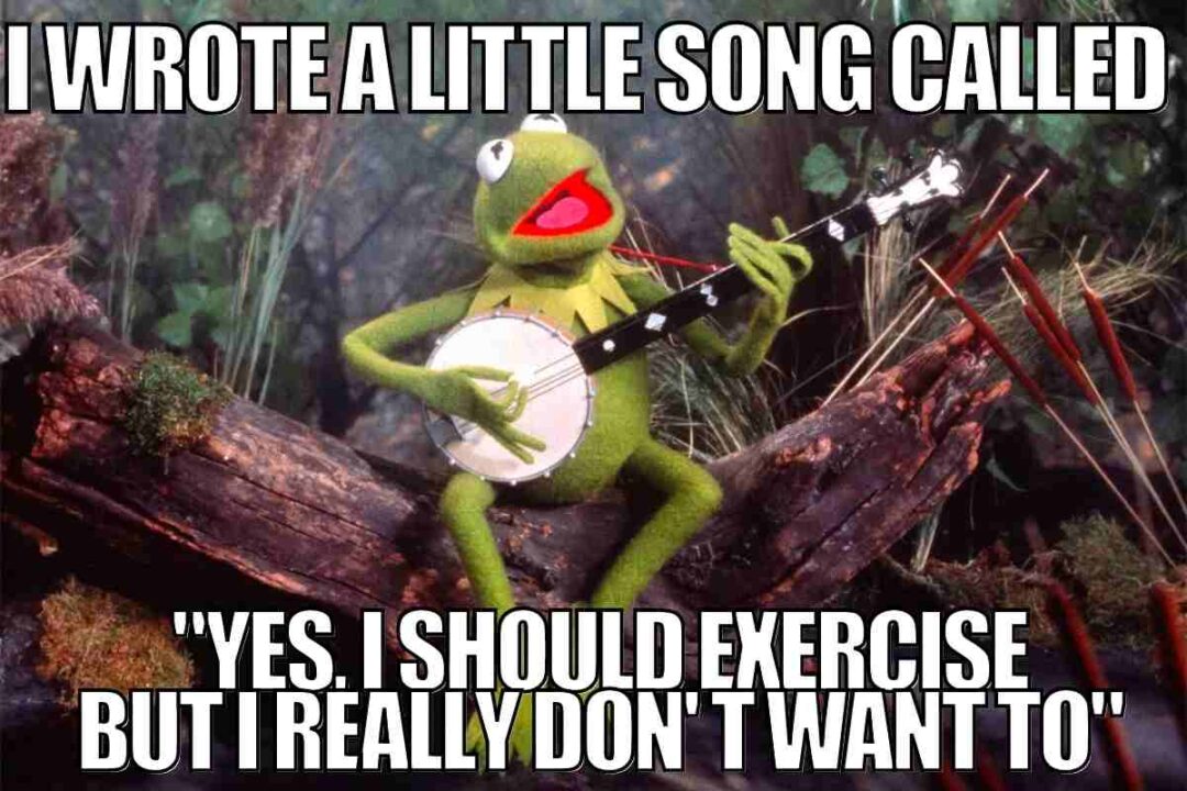 50 Fun Fitbit Memes About Fitness Exercise And Step Count