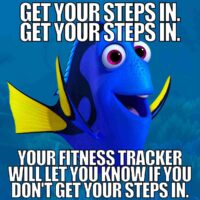 50 Fun Fitbit Memes About Fitness Exercise and Step Count