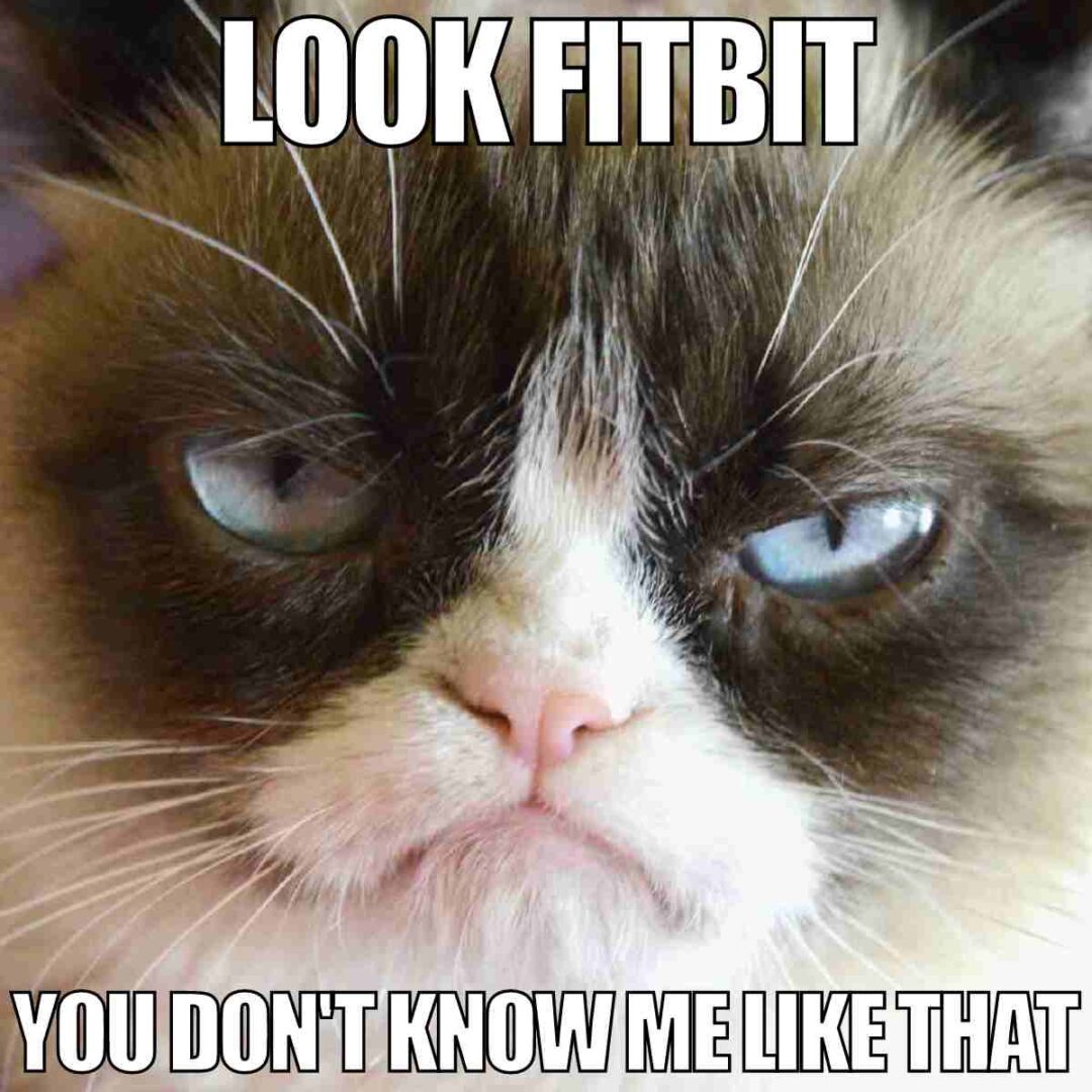 50 Fun Fitbit Memes About Fitness Exercise And Step Count