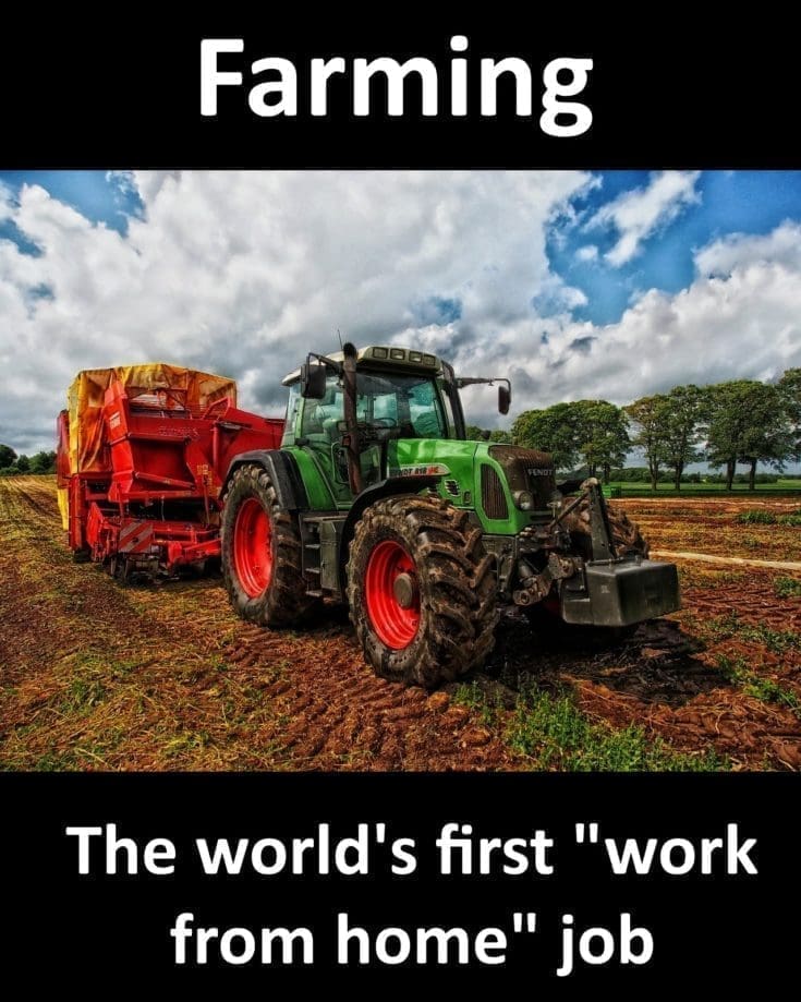 Work From Home Memes - 50+ Funny Images About Working Remote
