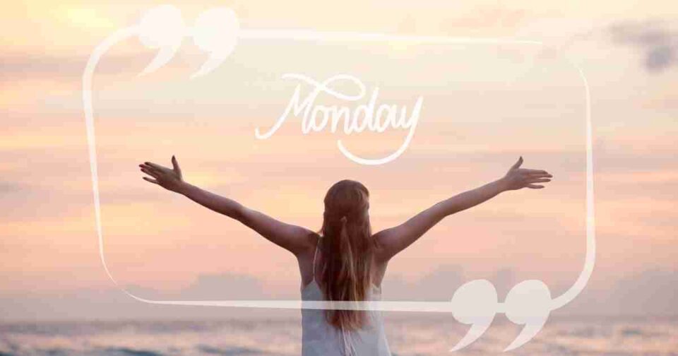 Best Days Of The Week Memes To Laugh At All 7 Days