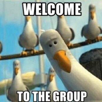 30 Best Team Memes For Laughs And Team Building