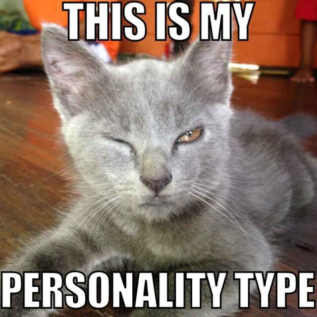 Best Enneagram Memes For Personality Types 1 - 9