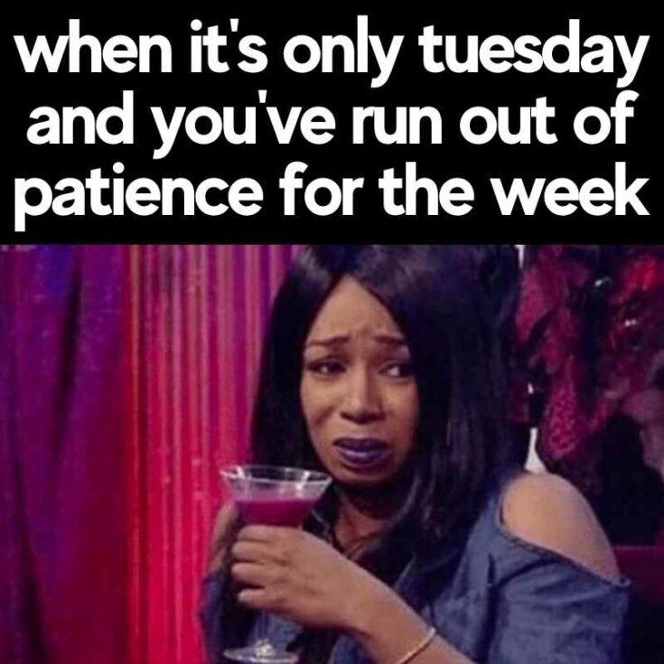 25 Best Tuesday Memes And Images To Brighten Your Week