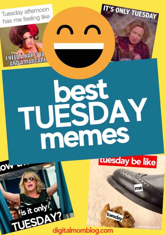 Best Tuesday Memes - 20+ Funny Images You Must Share