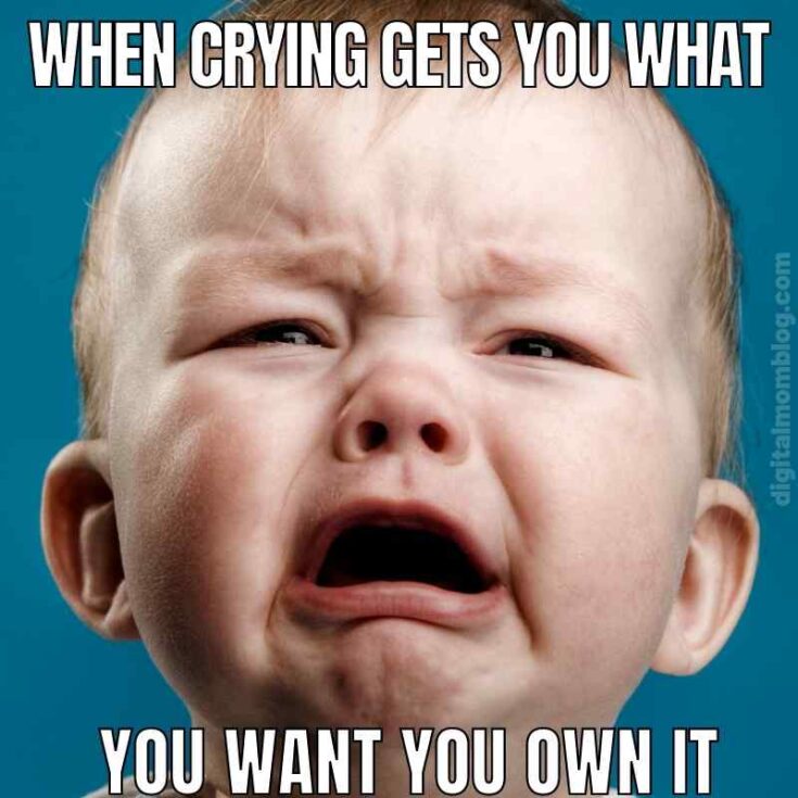 Baby Memes 101: Hilarious Images For New Parents
