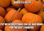 25 Best Pumpkin Memes And Jokes For Fall Lovers