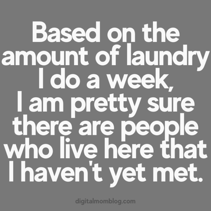 40 Funny Laundry Memes: From Sorting To Suds