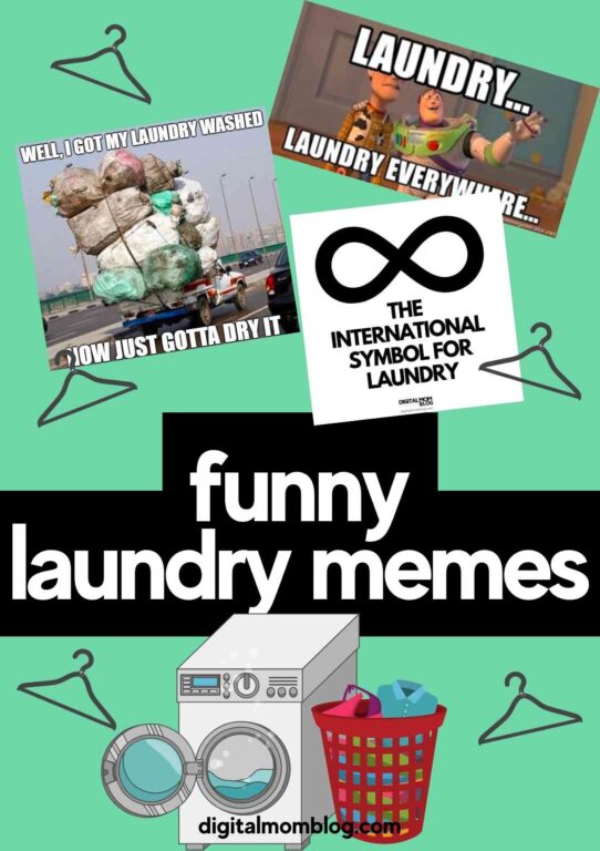 50 Funny Laundry Memes And Images About Washing Clothes