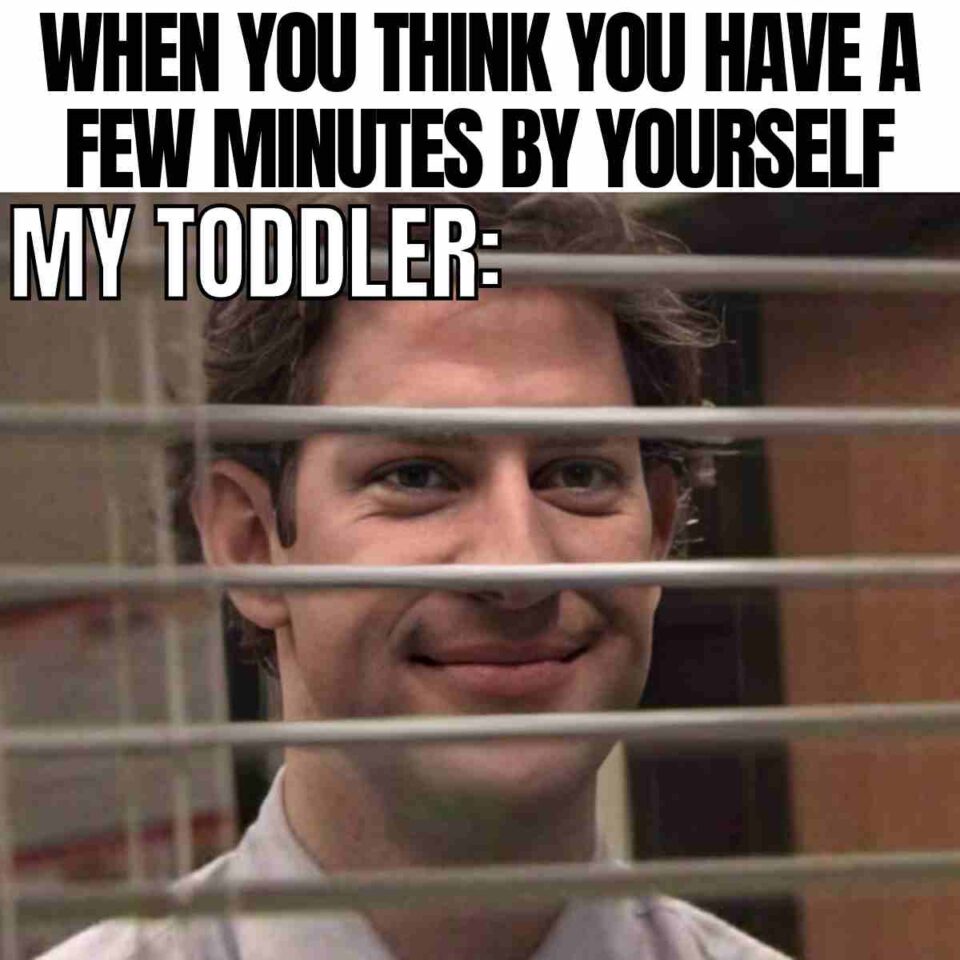 51 Hilarious Toddler Memes Every Tot Parent Can Relate To