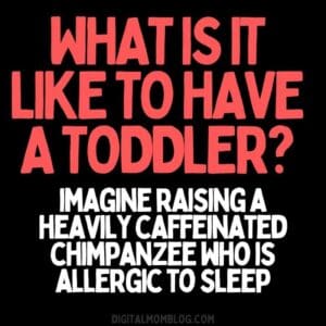 51 Hilarious Toddler Memes Every Tot Parent Can Relate To