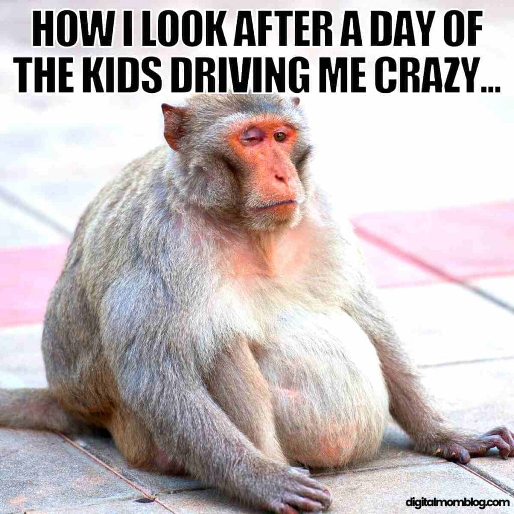 51 Hilarious Toddler Memes Every Tot Parent Can Relate To