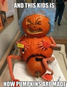 25 Best Pumpkin Memes And Jokes For Fall Lovers