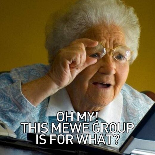 17 Ridiculous MeWe Memes And Images For Sharing