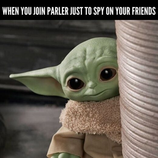 20 Funny Parler Memes About The Good Bad And Ugly