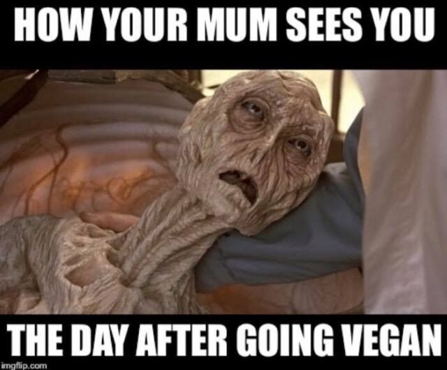 Vegan Memes - 15+ Funny Memes For Vegetarians
