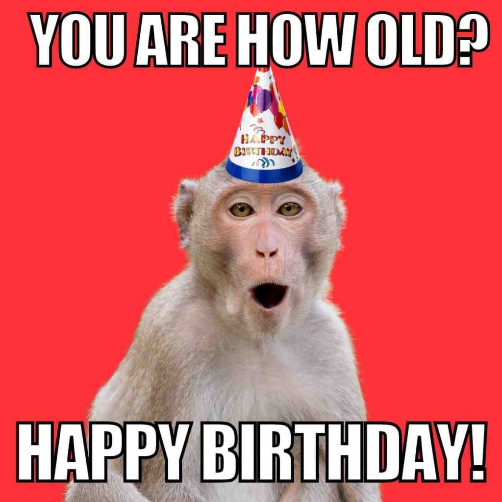 Monkey Memes - 20+ Funny Images Relatable to Life