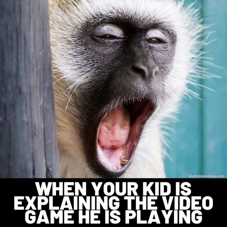 Monkey Memes - 20+ Funny Images Relatable To Life