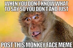 Monkey Memes - 20+ Funny Images Relatable To Life