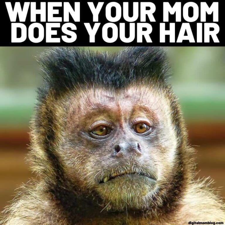20 Monkey Memes That Are One Banana Short Of A Breakdown