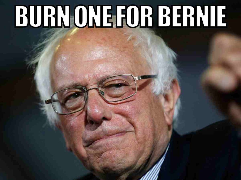 Best Bernie Sanders Memes - 15+ Funny Bern, Mittens And More