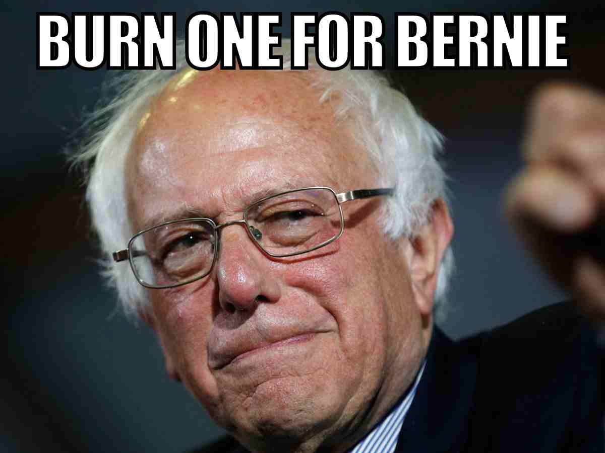 15 Best Bernie Sanders Memes That Still Have The Mittens