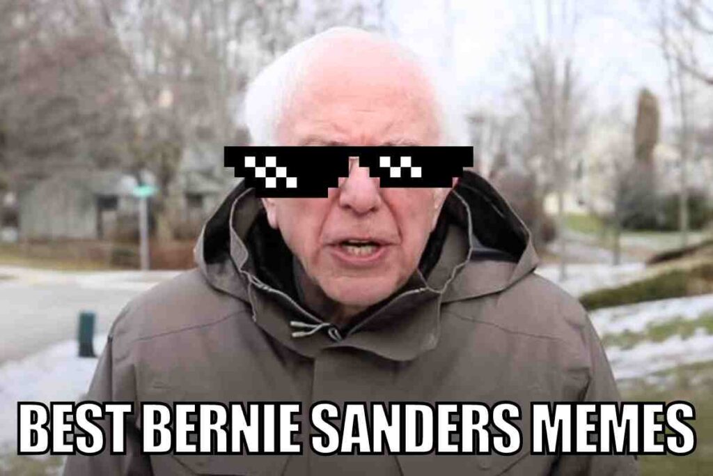 15 Best Bernie Sanders Memes That Still Have The Mittens