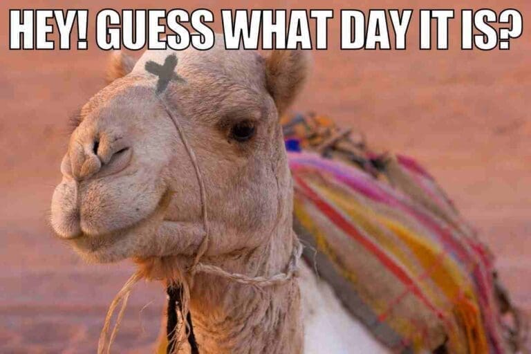 Best Ash Wednesday Memes That’ll Have You Laughing Into Lent