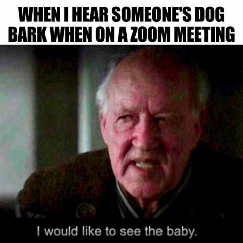75 Funny Zoom Memes: LOLs About The Craziness Of Video Calls
