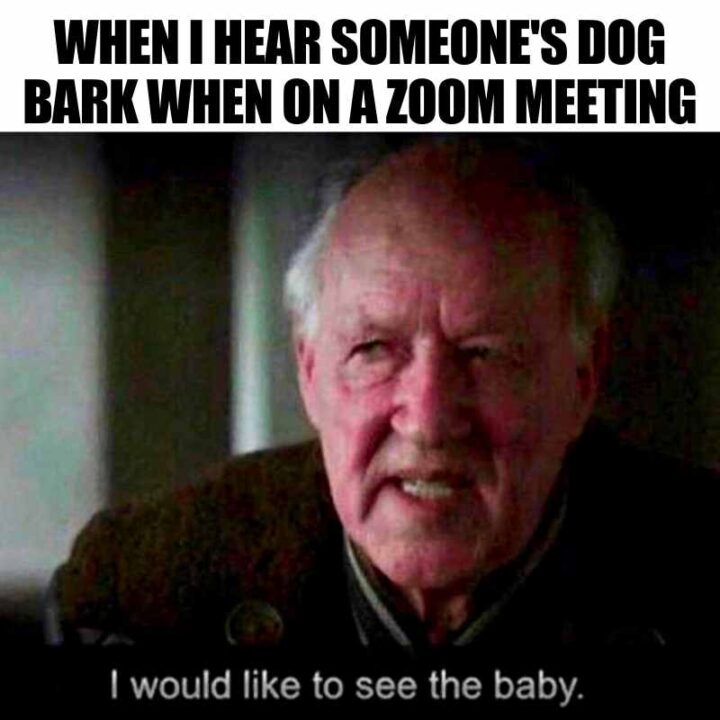 75 Funny Zoom Memes: LOLs About The Craziness Of Video Calls