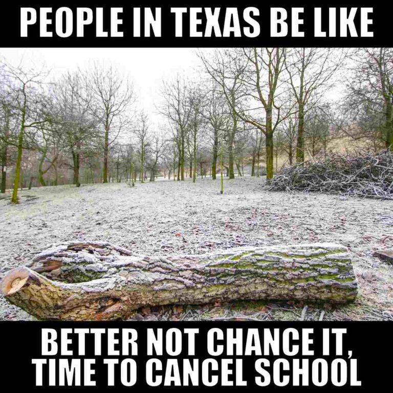 35 Hilarious Texas Winter Memes To Warm Your Heart