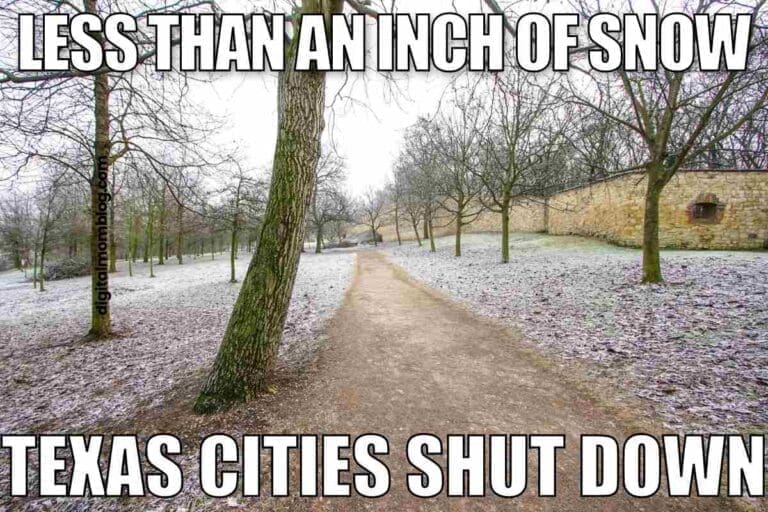 Texas Winter Memes: When The Lone Star State Gets Frosty!
