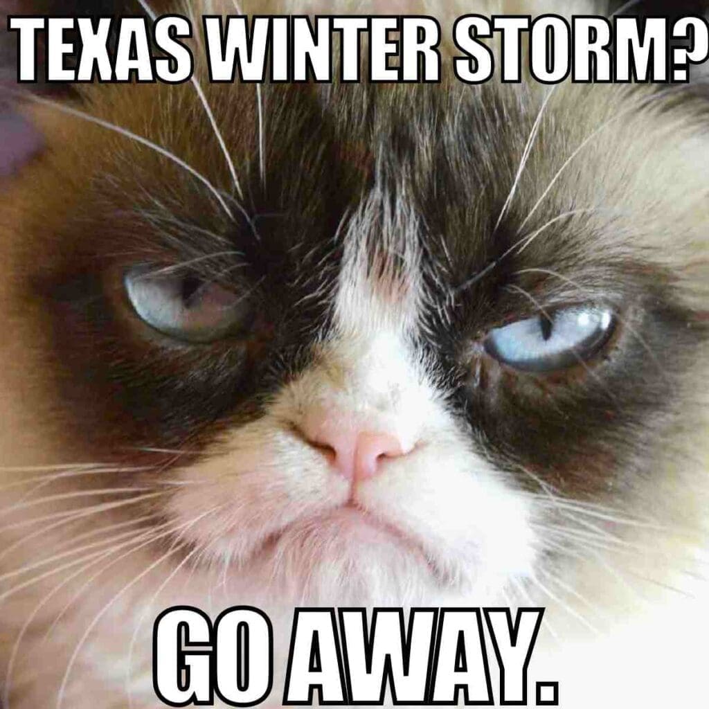 35 Hilarious Texas Winter Memes To Warm Your Heart