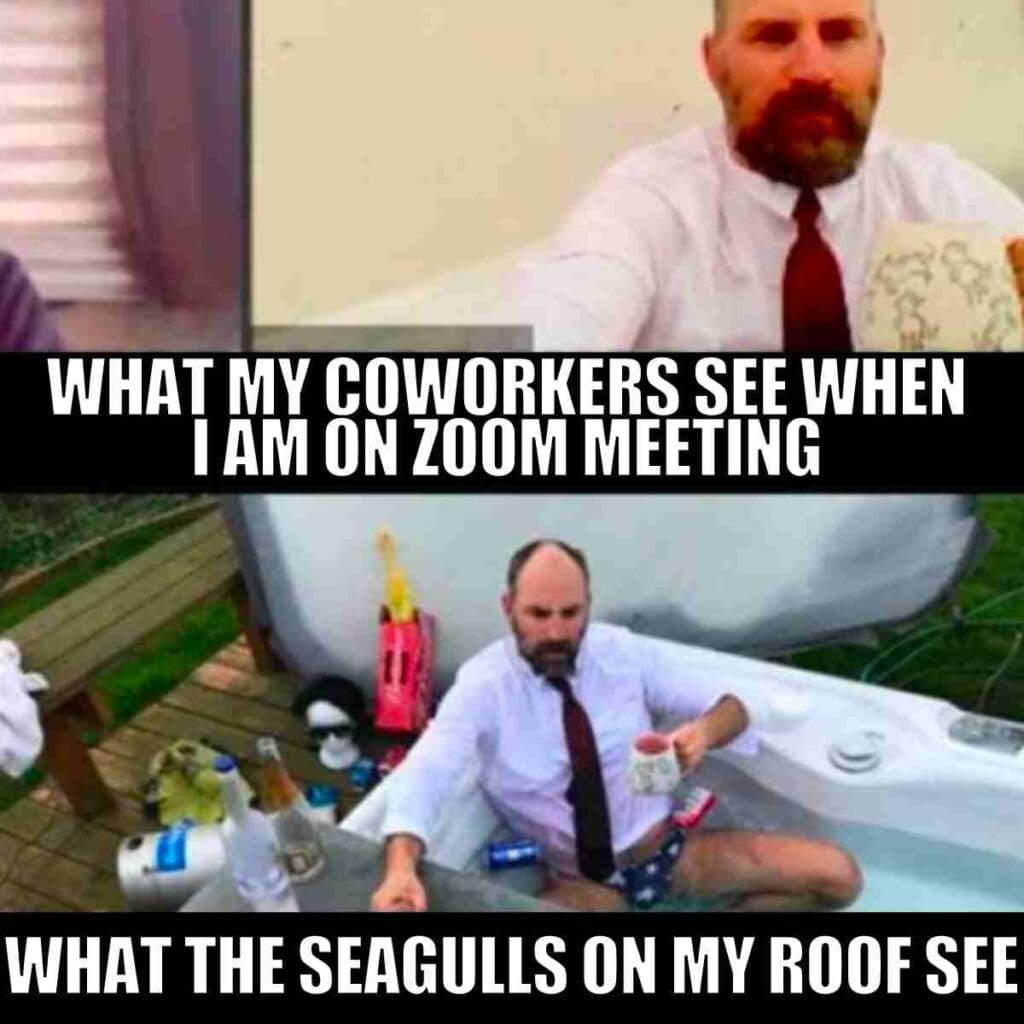 55 Hilarious Zoom Memes About Dreaded Video Meetings