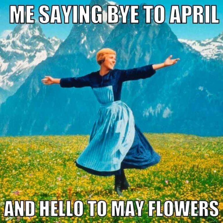 24 Hilarious April Memes To Keep You Laughing All Month