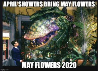 Hilarious April Memes 2023 To Get You Through The Month