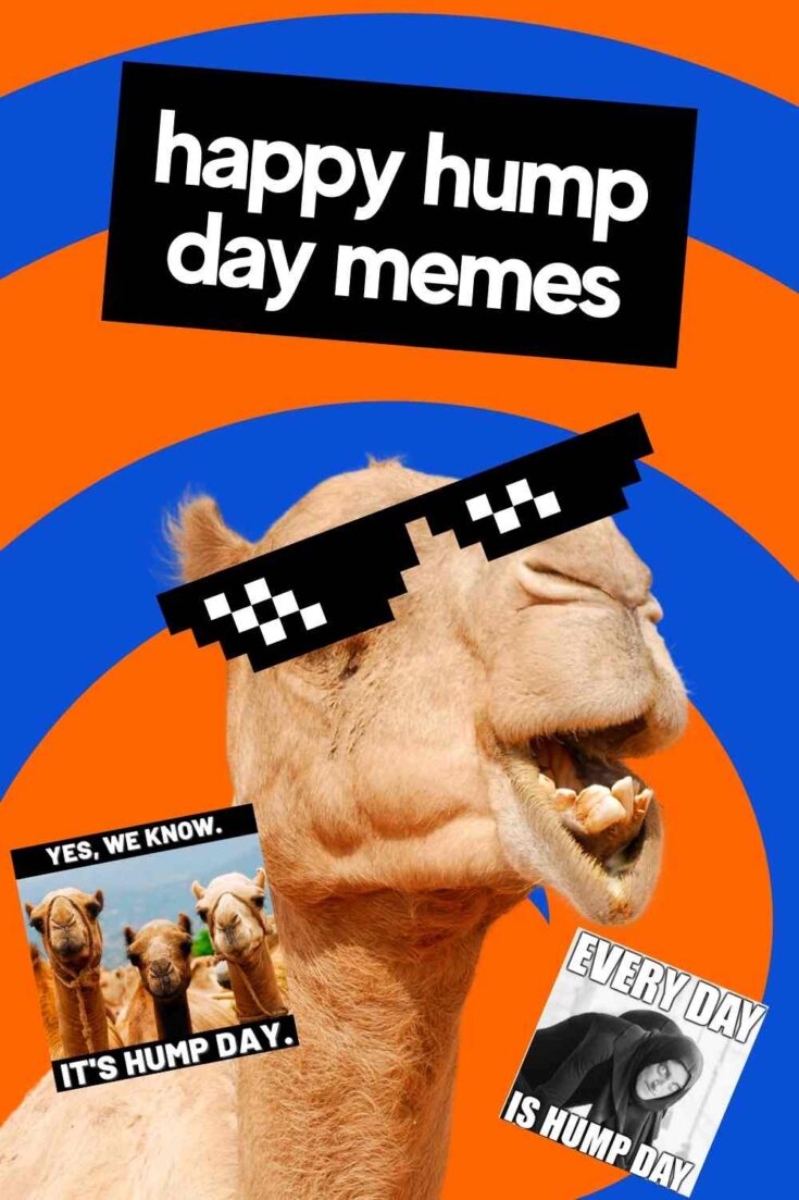 20 Hump Day Memes To Help You Laugh Thru Wednesday - Digital Mom Blog