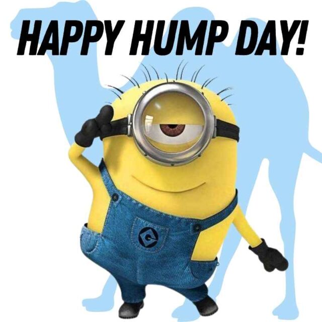 30 Hump Day Memes For That Midweek Mood