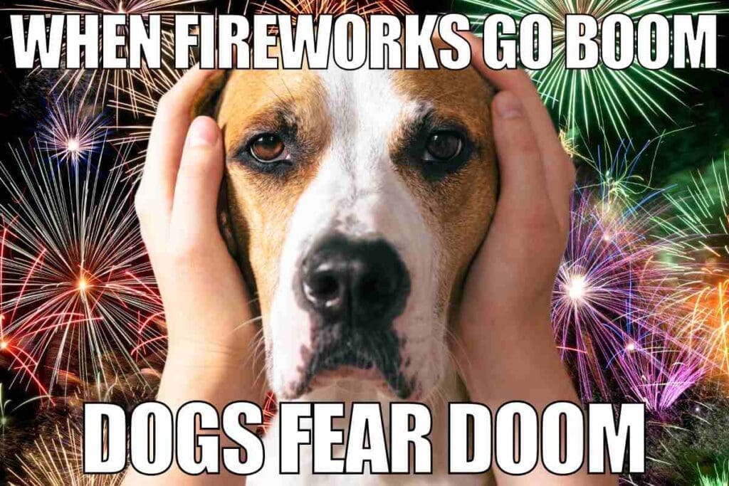 Hilarious 4th Of July Memes To Celebrate Freedom