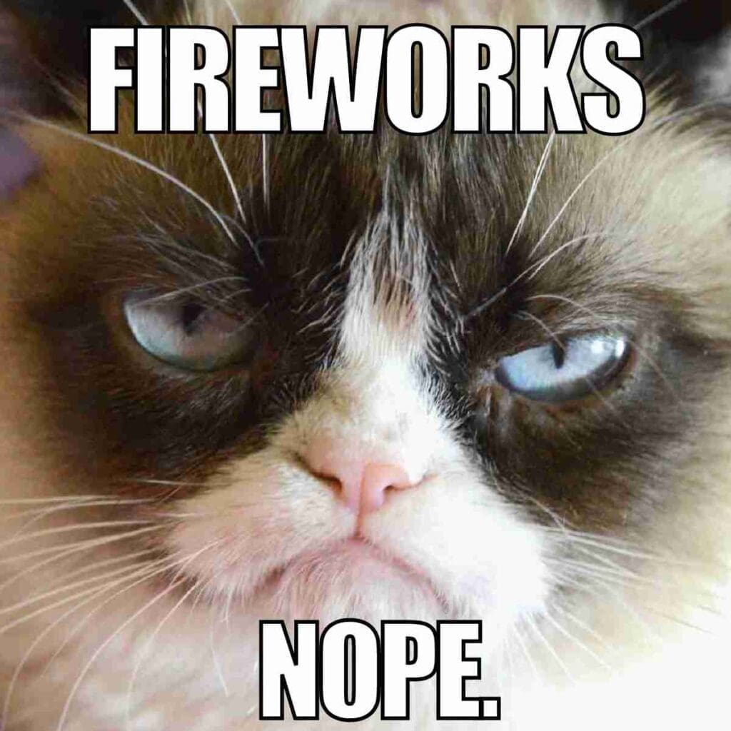Best 4th Of July Memes To Celebrate Independence Day 2024