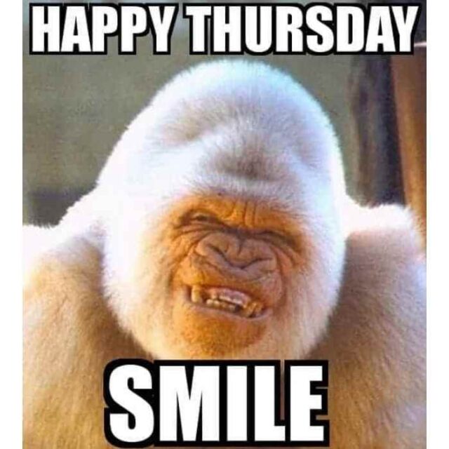Thursday Memes - 25+ Funny Images To Make Your Day Happy