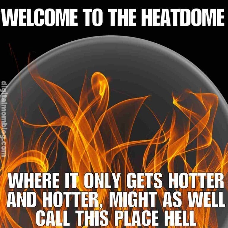 35 Hot Weather Memes Laughing At High Temps And Summer Heat