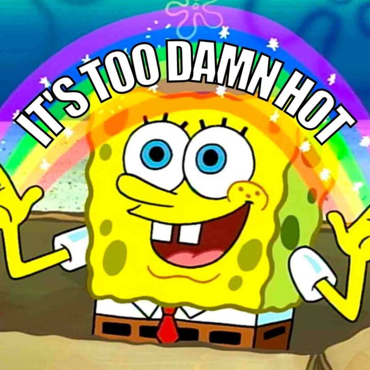 25 Hot Weather Memes Laughing At High Temps And Summer Heat