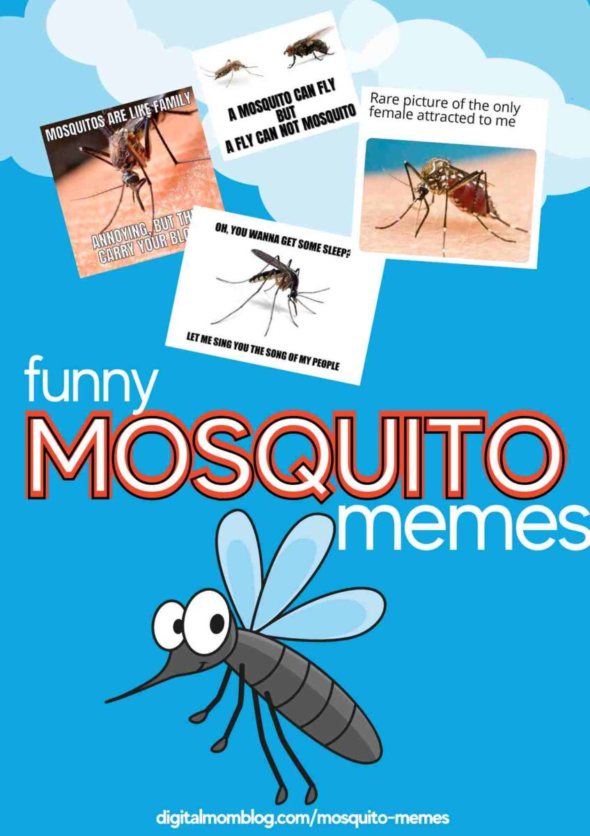 20 Funny Mosquito Memes For Bite Victims