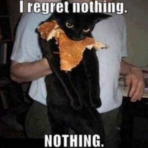 17 No Regret Memes For People Who Did It Anyway