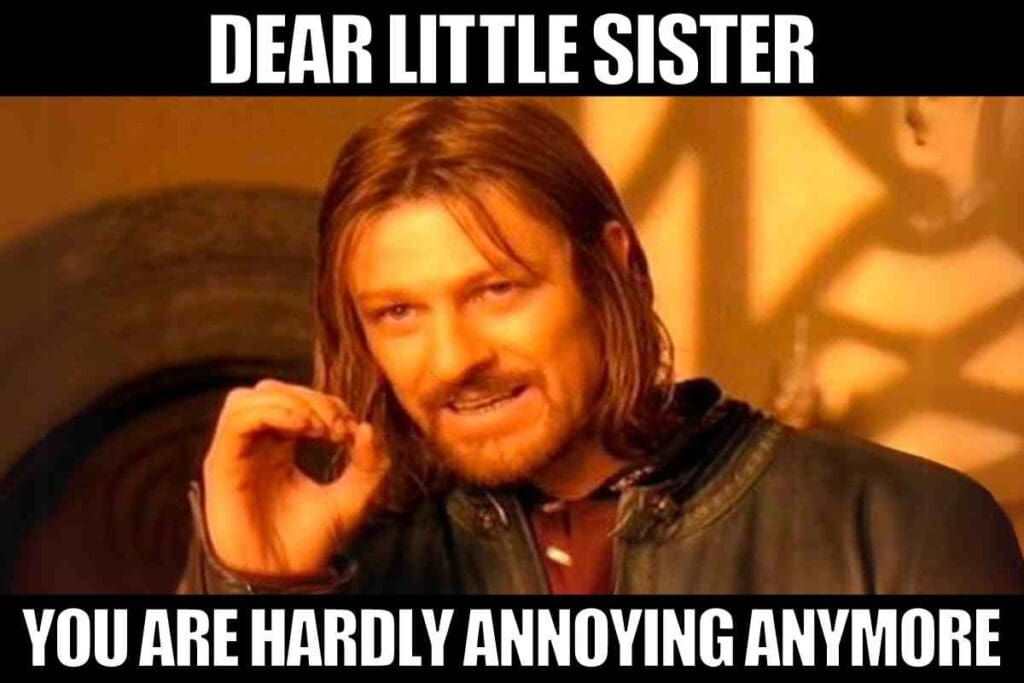 20 Funny Sister Memes And Images That Tell It Like It Is