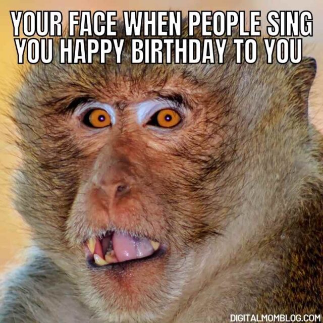 101 Funny Happy Birthday Memes For Celebrating Another Year