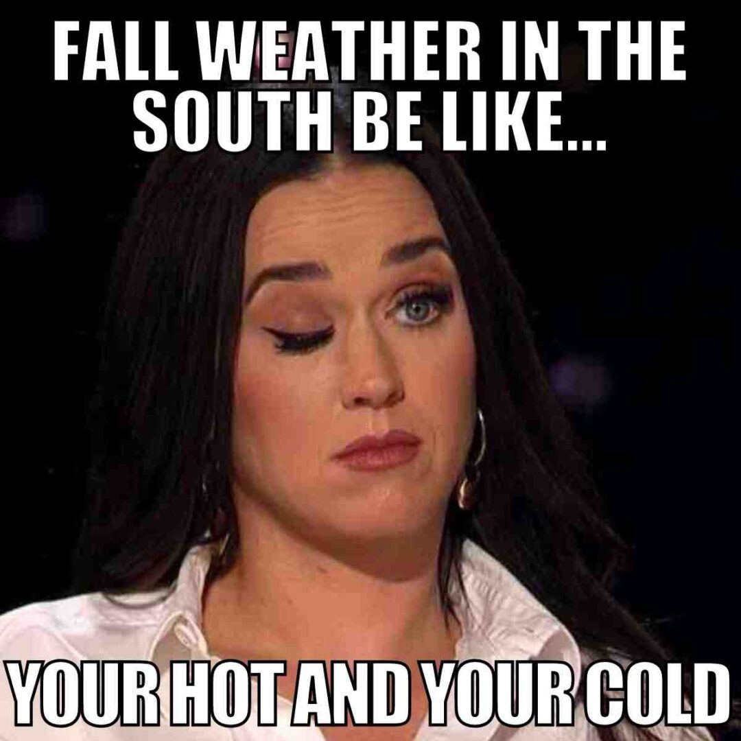 50 Best Fall Memes 2024 To Celebrate The Autumn Season