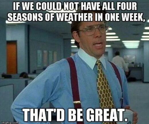 50 Best Fall Memes 2024 To Celebrate The Autumn Season